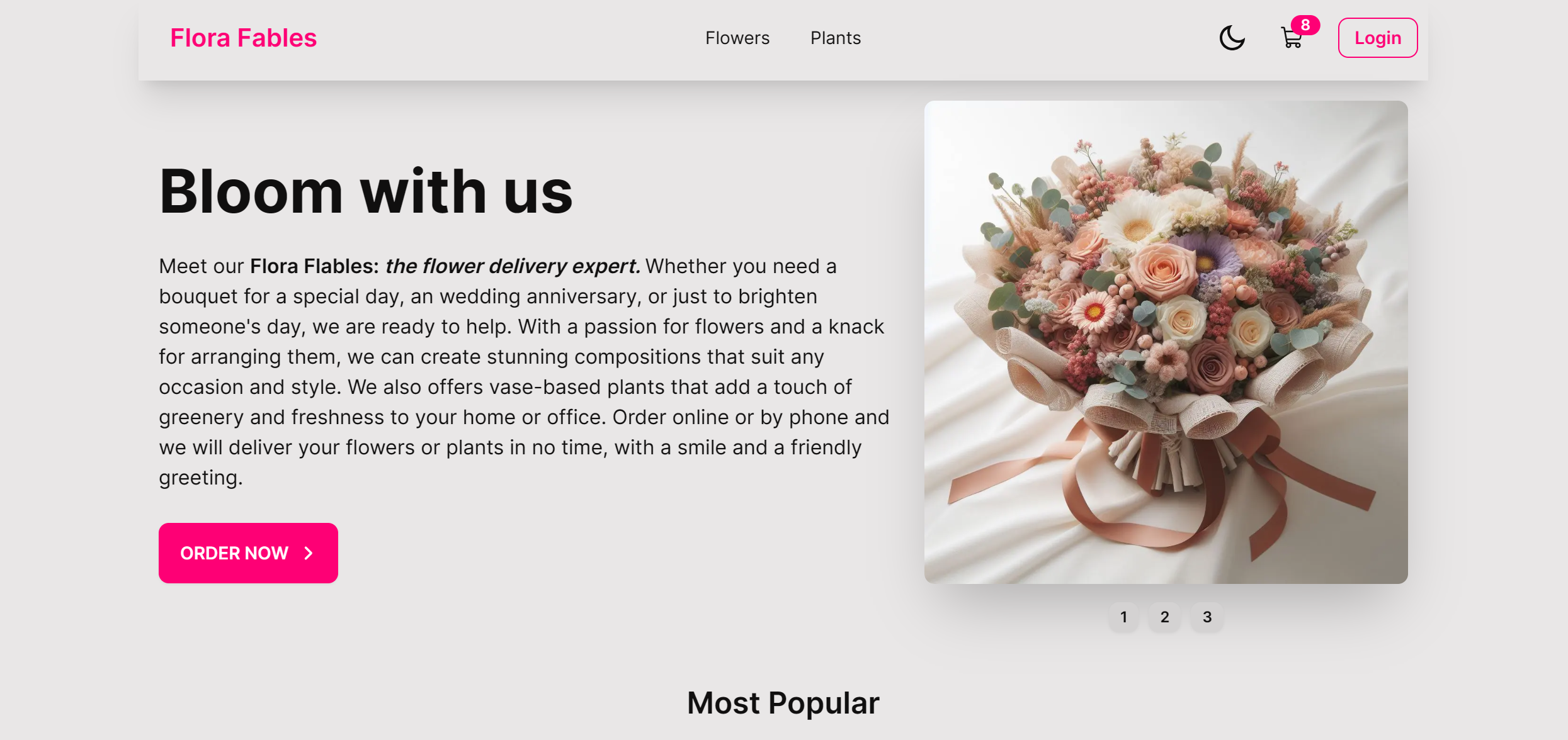 Cherubin - Software Developer | Front-end & App Developer